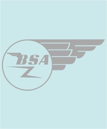 BSA TANK - BS-00010 - 306 X 152 MM.